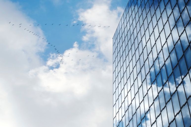 Bird Friendly Glass - PRESS GLASS SA